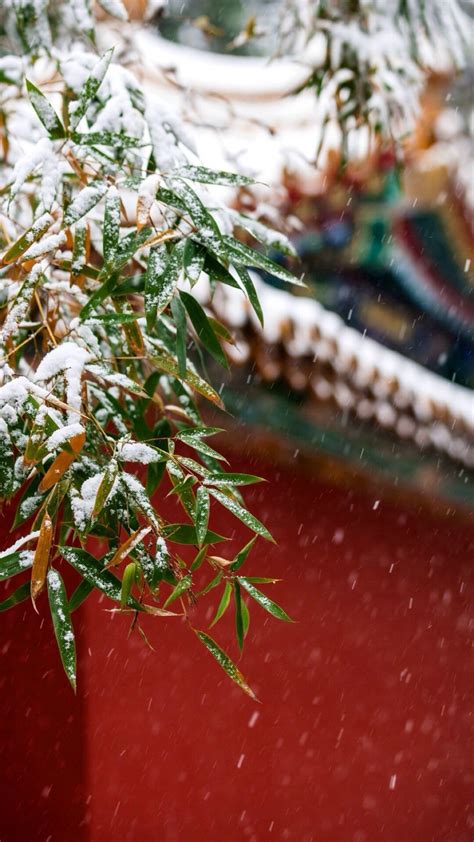 有什么好看的雪景壁纸图片？ 知乎