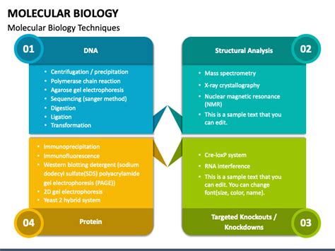 Molecular Biology PowerPoint And Google Slides Template PPT Slides