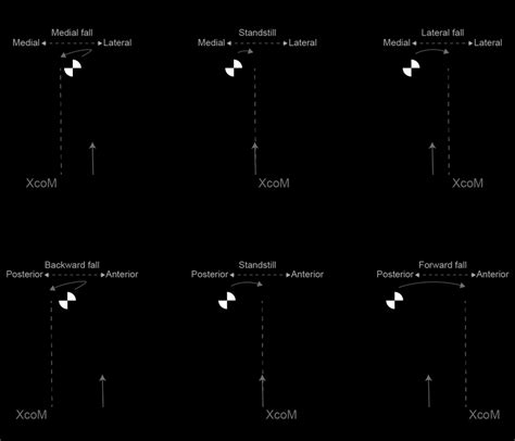 Configurations Of The Xcom And Cop And Their Resulting Mediolateral Mos