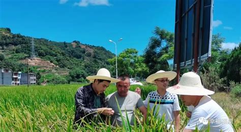 科技特派员送去助农“增收计”！