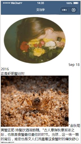 慕课网 微信小程序入门与实战 常用组件api开发技巧项目实战 第4章第二个页面新闻阅读页面 构建新闻列表上 Herissonpan 博客园