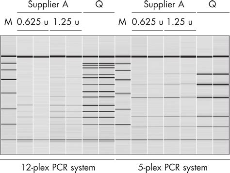 Type It Mutation Detect Pcr Kit