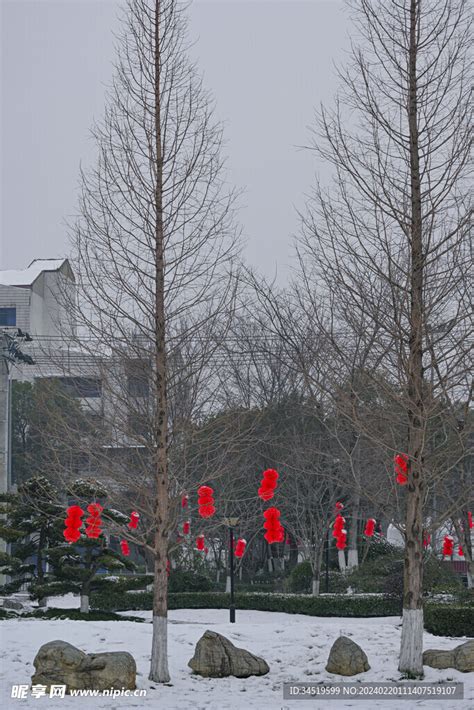 节日红灯笼摄影图 生活素材 生活百科 摄影图库 昵图网