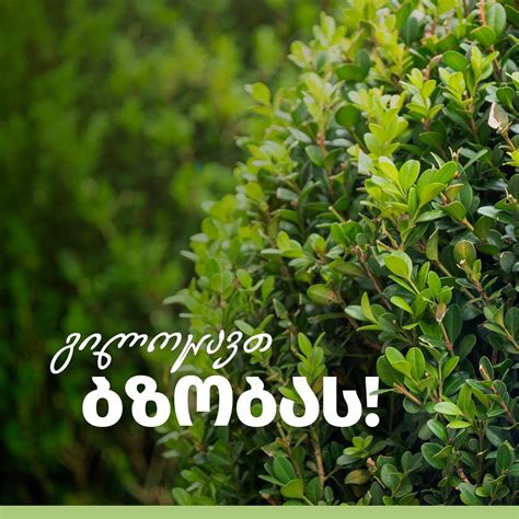 საქართველოს ნოტარიუსთა პალატა Facebook