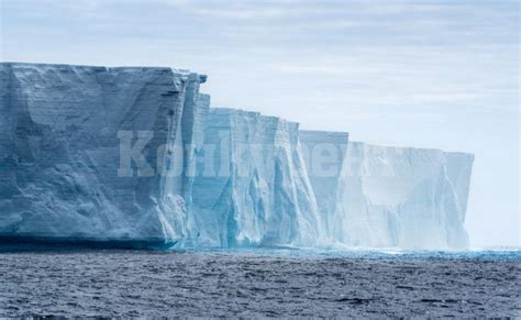 Гренландия и Антарктика губят лед опасно бързо Konkurent Bg