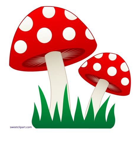 Mushrooms In Grass Clipart Mushroom Clip Art Mushroom Clip Art Library