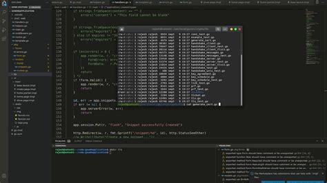 Go Lang Back End Generating A Self Signed Tls Certificates Security