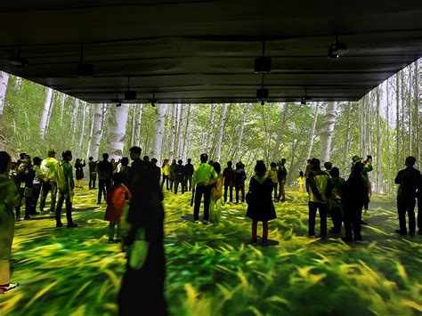 강원도 고성 세계산림엑스포