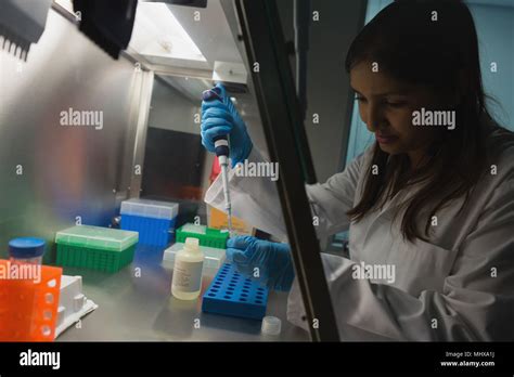 Scientist Pipetting Solution Into The Glass Test Tube Stock Photo Alamy