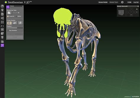 Smithsonian X3d Webgl 4 3dp Id Arts