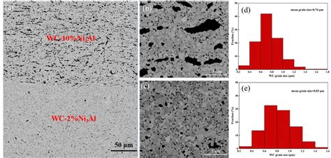 Sem Images A Sem Image Of The Polished Gradient Surfaces B Sem