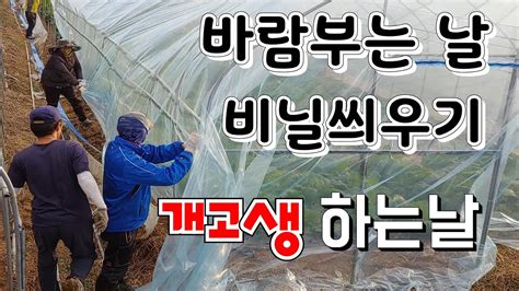 비람부는날 비닐 씌우기 하우스비닐 Youtube