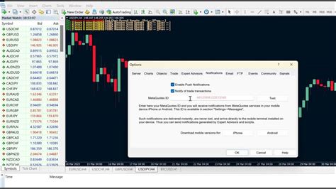 Enable Mt4 Push Notifications On Metatrader Youtube