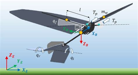Model Of The Fixed Flapping Wing Aerial Robot Indicting Reference Download Scientific Diagram
