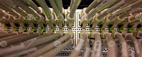 Network Cables Connected To A Switch In A Data Center With Green Lights Indicating Activity