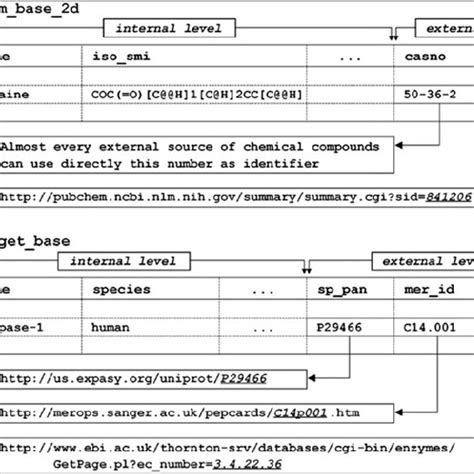 Data Curation Workflow Download Scientific Diagram