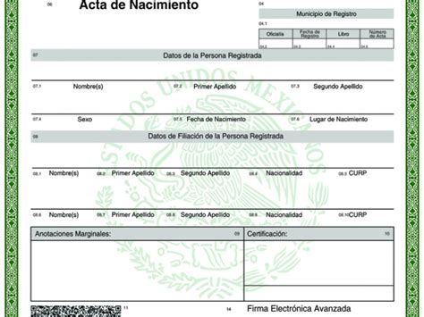 13 Millones De Actas De Nacimiento Digitalizadas En Veracruz Meganoticias