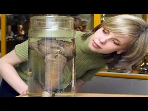 Is Rasputins Genitalia Really On Display In A Museum The Strangest