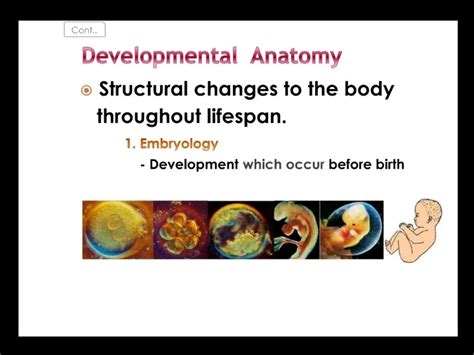 Antomy And Physiology Ppt All Systems Pptx