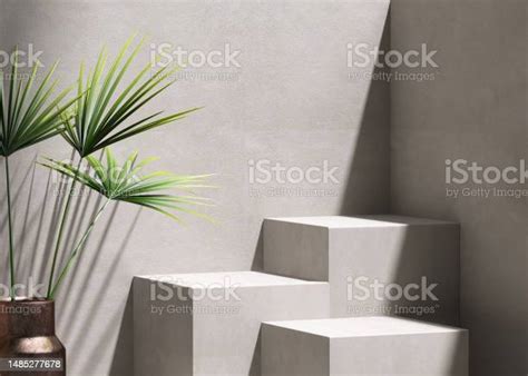 3개의 정사각형 기하학적 디자인 단계 콘크리트 연단 햇빛에 야자수 회색 시멘트 코너 로프트 벽에 그림자 0명에 대한 스톡 사진 및 기타 이미지 Istock