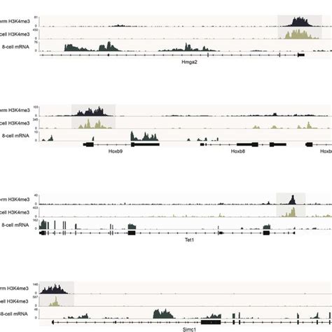 Low Input Mrna Seq Bioanalyzer Expected Outcomes A Total Rna Download Scientific Diagram