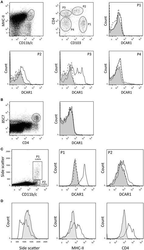 Flow Cytometry Analysis Of Splenic Dendritic Cells And Mesenteric Lymph Download Scientific