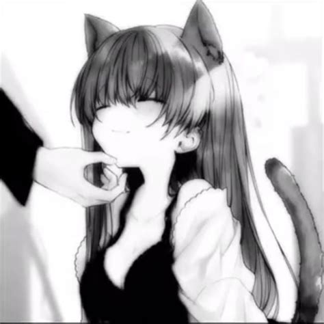 Edgy Pfp Anime Art Neko