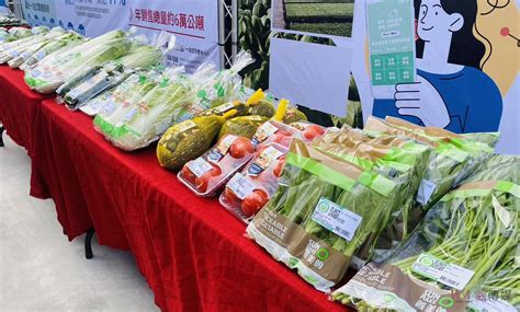 （有影片）／漢光蔬果區域冷鏈物流中心啟用 佈局全國冷鏈體系提升競爭力 觀傳媒