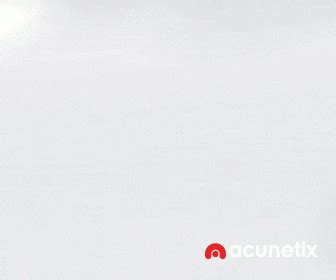 Darknet Tag Primogif