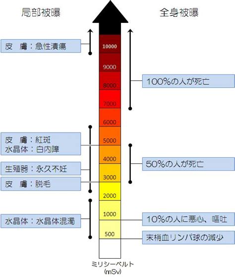 放射能 影響 nacssee