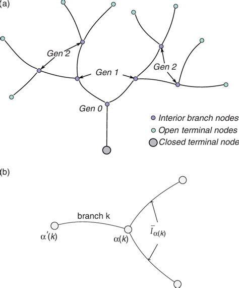 Color Online Labeling Scheme For A General Dendritic Tree A An Example