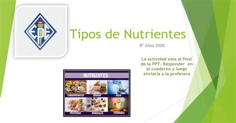 Tipos De Nutrientes Escuelaprimitivaecheverriacl · Tipos De