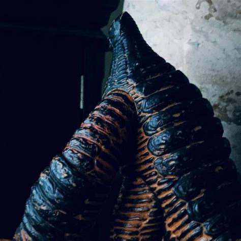 バンダイ｜bandai ウルトラ怪獣シリーズ Exレッドキング Ex Red King Ex紅王 Ex雷德王 2008 年 中國製 円谷 超人力霸王 奧特曼 鹹蛋超人特撮怪獸 軟膠玩具