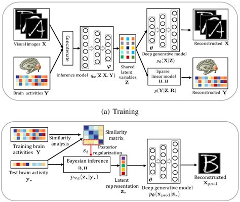Illustration Of The Proposed Dgmm Framework A Training X And Y Are Download Scientific