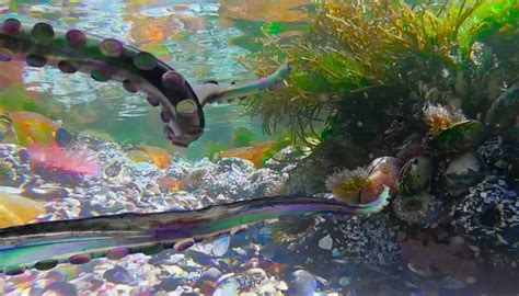 Joe Jurczyk Posted On Linkedin