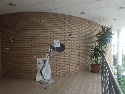 10th Anniversary Of PMS Art Science Node