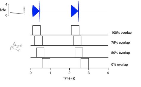 Synthetic Acoustic Signal Of Male Vocalization And Temporal Variation Download Scientific