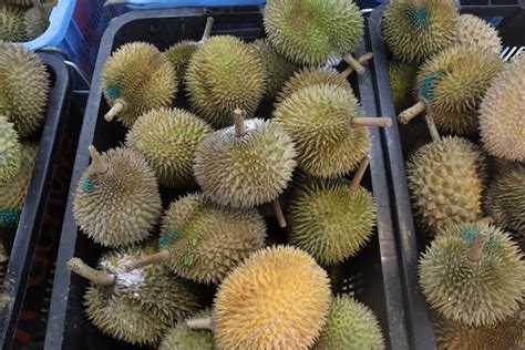Hasil Ladang Upm Di Putra Mart