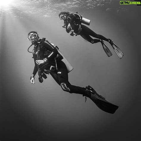 Elizabeth Frances Wiki Biography Age Gallery Spouse And More