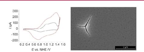 Figure 2 From A Binuclear Cobalt Complex In The Electrochemical Water