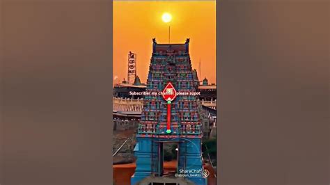 14 March 2025 Youtube