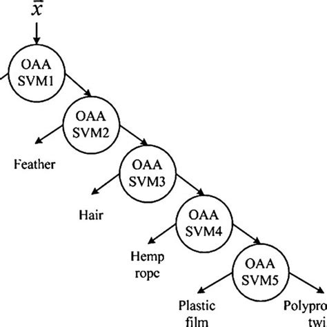 One Against One Directed Acyclic Graph Msvm Download Scientific Diagram