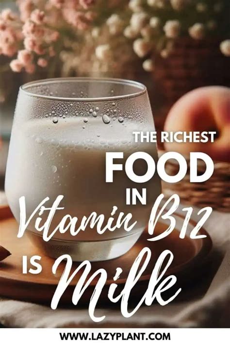 Is Milk And Other Dairy High In Vitamin B12 Lazyplant