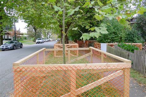 Tree Protection Fence Stock Photo Image Of Square Fences