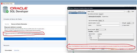 Falha De Conexão Sql Com Oracle Database Manipule E Consulte Dados Alura Cursos Online De