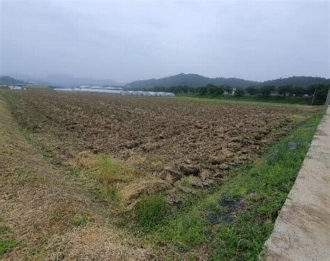곡성토지경매 곡성군 겸면 가정리 답 738평 광주법원 네이버 블로그