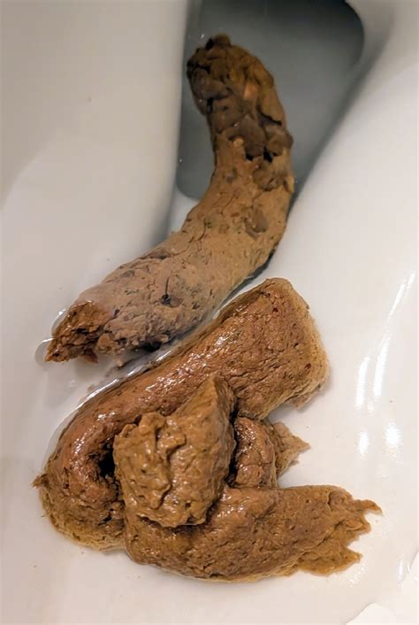 My Daily Poo 1 May Friday Flokenbrimble