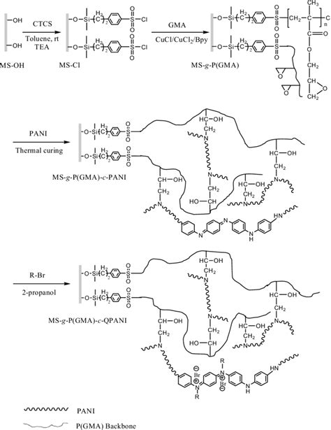 Scheme 1 Schematic Diagram Illustrating The Process Of Download