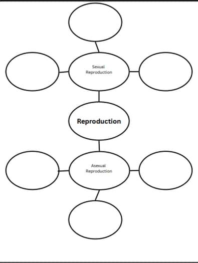Sexual Vs Asexual Reproduction L Venn Diagram L 6th 7th 8th L Ngss