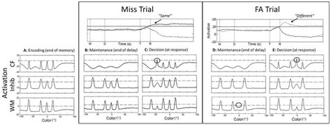 Simulations Of The Dft Illustrating Errors In The Model With Time